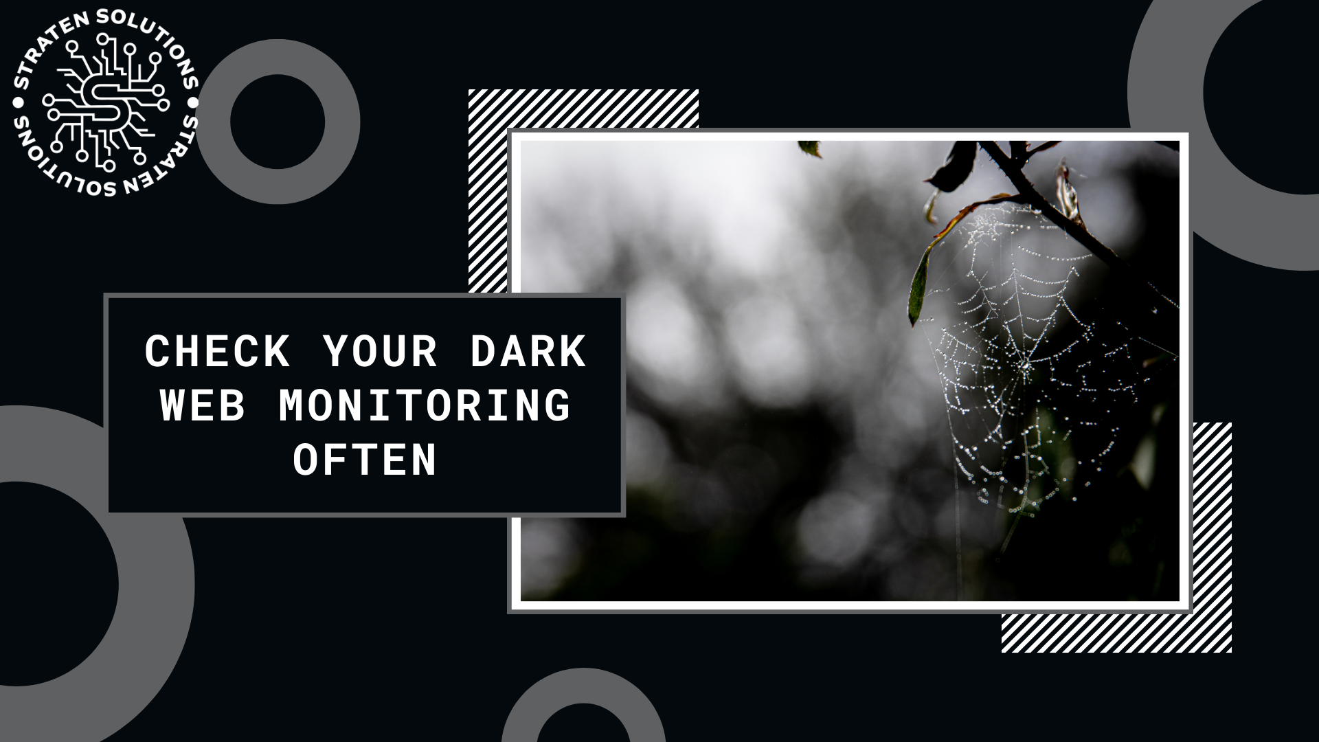 Do You Really Need Dark Web Monitoring? Learn why it's critical ...